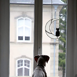 Black Cat Decor On White Moon, Stained Glass Window Hangings, Cat Suncatcher Window Panels Hangings Sun Catcher Ornament Decoration for Wall Home Garden Decor Bird cat, Gift for cat Lovers (Orange)