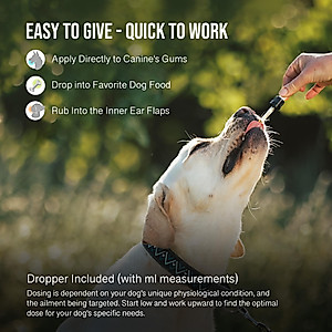 Hemp Dog Health - Calm - Hemp Oil for Dogs - for Dog Nervousness Relief - Balanced Mood & Behavior Dog Hemp Oil - Separation & Everyday Stress Relief - 100% Natural Dog Calming Drops