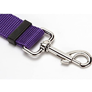 TREXDP Pet Back Seat Collar Adjustable Strap Kitten Dog Collar Pet Accessories