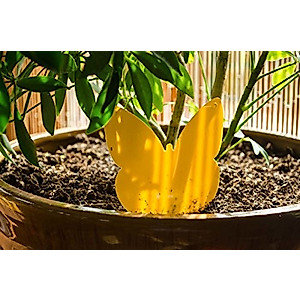 Gardens Alive! Pot Stickers for Small Flying Insects (Pkg of 10)