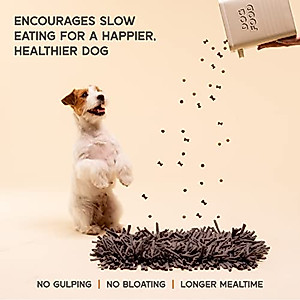 Paw 5 Dog Snuffle Mat for Dogs Small. Dog Toys Interactive - Reduces Boredom & Anxiety. Premium Feeding Mat for Slow Eating & Smell Training. Dog Brain Stimulating Toys + Small Dog Bed