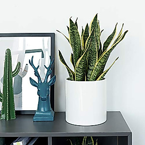 8 Inch Glazed Ceramic Indoor Planter Pot - Modern Large Cylinder Container with Watering Drainage Rubber Plug - Fits Succulents, Flowers or Bonsai