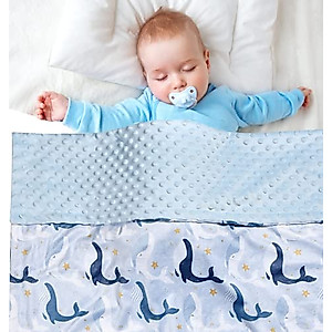 Baby Blanket Super Soft Minky Blanket Blue Whale Blanket with Dotted Backing for Newborns Nursery Stroller Receiving Toddlers Crib Bedding for Boy or Girl(30 x 40 Inch) (Whale)