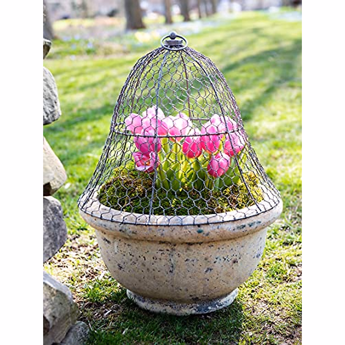 Gardener's Supply Company Sturdy Chicken Wire Cloche Plant Protector & Cover | Sturdy Metal Cage Garden Protection for Your Plants and Seedlings | No Assembly Required - 16" in Diameter x 12-1/2" H