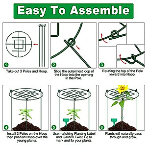 CKE 10 Pack 4mm 18 Inches Peony Cages Plant Support Plant Stakes Grow Through Grid Plant Supports Grow Through Hoops, Metal Peony Support Ring Plant Brace Flower Support Ring for Heavy Blossom 12"x18"