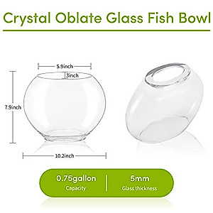 hygger Mini Glass Oblate Fish Bowl Kit, Small Fish Tank Comes with Blue Aquarium Decor Stones and Plastic Fan Branch Tree Ornament