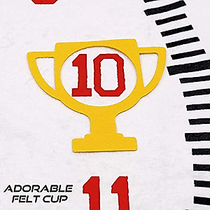 Eunikroko Race Car Baby Monthly Milestone Blanket Sports Nursery Blanket 1 to 12 Months Photography Backdrop Prop for Newborn Baby Boy Soft Plush Fleece