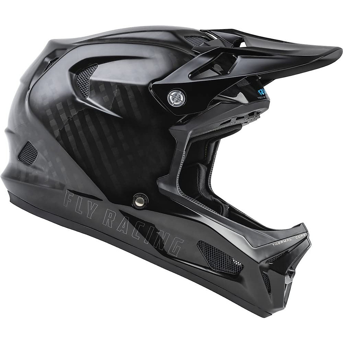 Fly Racing WERX-R Adult Carbon Cycling Helmet (Black, Medium)