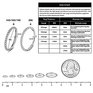 WBRWP 316L Stainless-Steel Hinged Nose Rings Hoop : Womens and Mens Ear Pierecing Ring with Zircon 20G(0.8mm) Septum Clicker Helix Cartilage Hoop Diameter 8mm, Black Color
