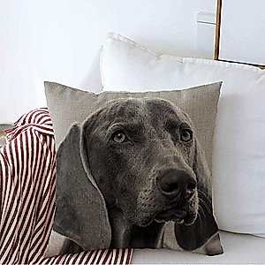 Decorative Throw Pillow Cover Case Themes Weimaraner Dog No Animals Pets Wildlife Black White Away One Canine Copy Space Plain Studio Linen Square Cushion Sham for Car Couch Bedroom 20 x 20 Inch