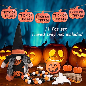 Halloween Tiered Tray Decor Home Table Deccorations - Cute Gnomes Plush and Bead Garland, Trick or Treat Signs Pumpkin Bucket with Led, Foam Pumpkin, Farmhouse Rustic, Black