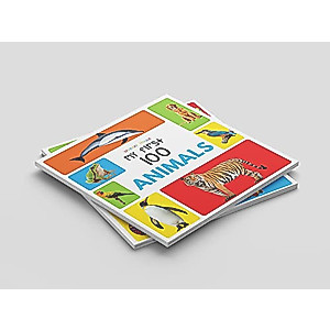 My First 100 Series Boxset