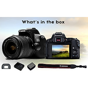 Canon EOS 250D / Rebel SL3 DSLR Camera with 18-55mm Lens (Black), Creative Filter Set, EOS Camera Bag, Sandisk Ultra 64GB Card, 6AVE Electronics Cleaning Set, and More (Renewed)