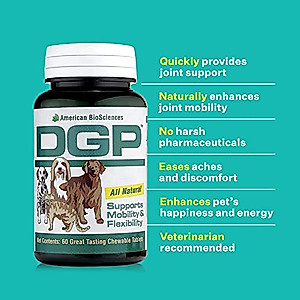 American BioSciences DGP, Joint Supplement for Dogs - Joint Support with Turmeric, Boswellia Extract & More - Quick Effect for Immediate Mobility Support - 60 All-Natural Chewable Pet Tablets (2 Pack)