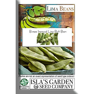 Burpee Improved Lima Bush Bean Seeds for Planting, 30+ Heirloom Seeds Per Packet, (Isla's Garden Seeds), Non GMO Seeds, Botanical Name: Phaseolus lunatus, Great Home Garden Gift
