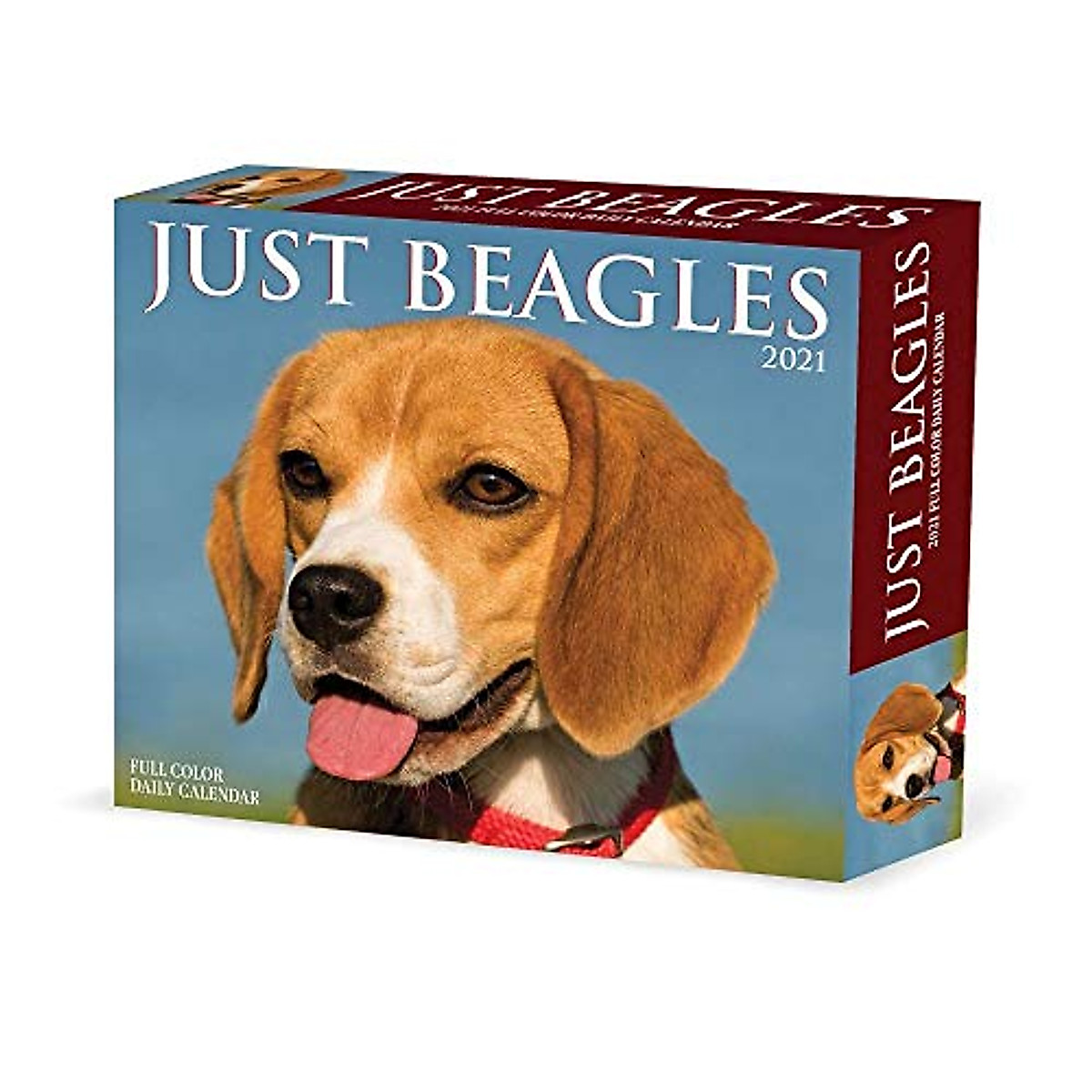 Just Beagles 2021 Box Calendar (Dog Breed Calendar)