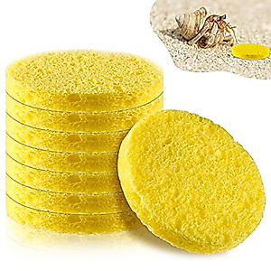 8 Pieces Hermit Crab Sponges Pets Crab Real Sea Sponges Unbleached Water Dish Sea Sponge Provide Nutrients Crab Sponges for Pet Hermit Crab Tank Humidity Supplies