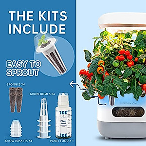 FAFAGRASS Indoor Garden Hydroponics Growing System, Plant Germination Kit Mini Herb Garden Kit Vegetable Growth Lamp Countertop, Height Adjustable Water Pump, Hydroponics Planter Grower