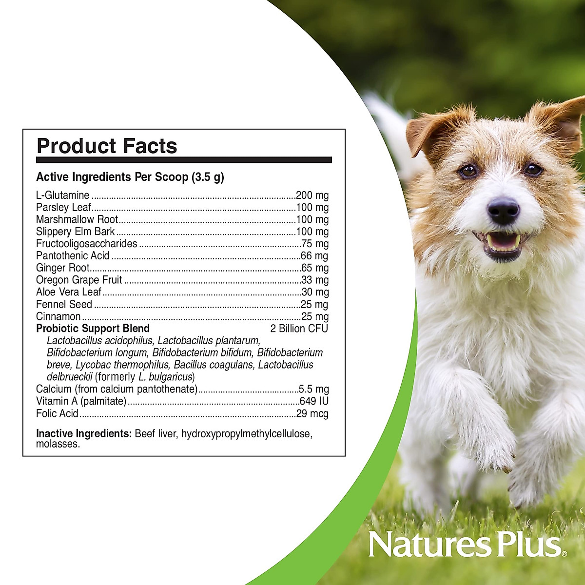 Natures Plus FurBaby Digestive Support for Dogs - 7.4 oz - Promotes Optimal Digestion - Non-GMO - 60 Servings