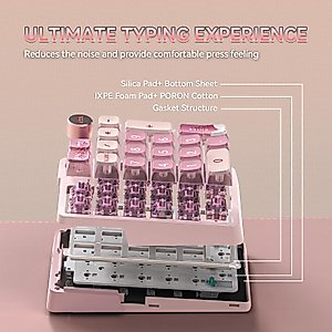 KZZI Mechanical Number Pad,Bluetooth5.0/2.4G/Type-C Wireless Numeric Keypad,RGB HotSwap Numpad with PBT Keycaps Rechargeable Gasket Number keypad for PC Laptop Desktop (Sakura Pink)