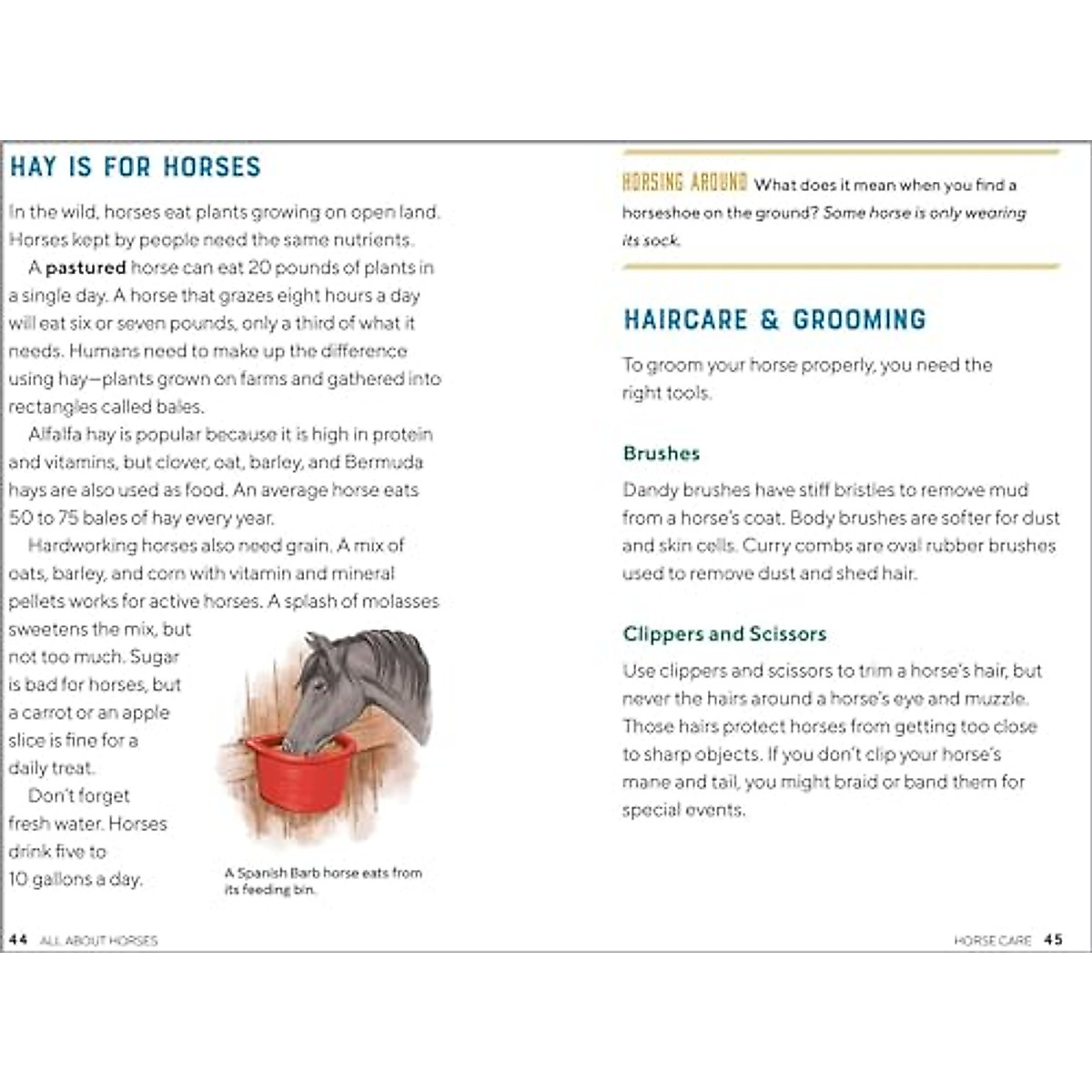 All About Horses: A Kid's Guide to Breeds, Care, Riding, and More!