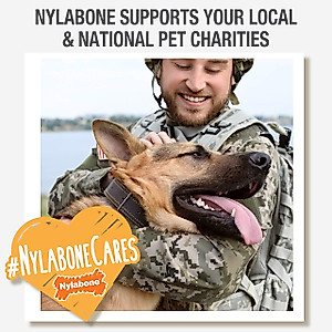 Nylabone Puppy Ring Bone Chew Toy - Puppy Chew Toys for Teething - Puppy Supplies - Chicken Flavor, Small/Petite (1 Count)