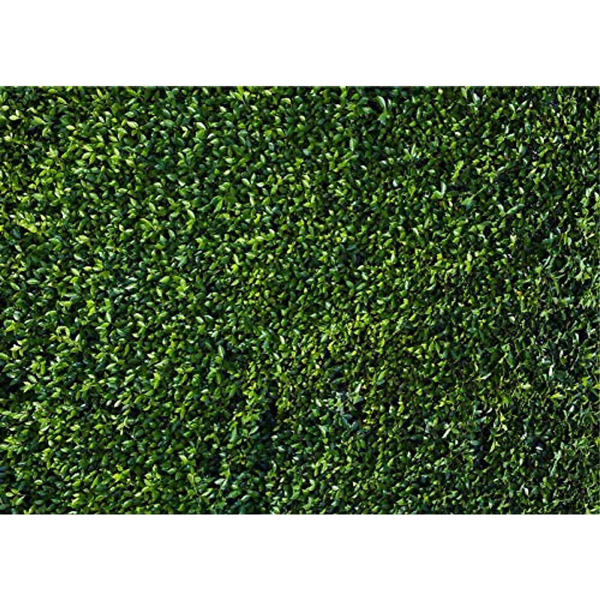 Art Studio Green Leaves Photography Backdrops Spring Nature Safari Party Decoration Outdoorsy Newborn Baby Shower Backdrop Wedding Birthday Photo Background Studio Props Booth Vinyl 7x5ft