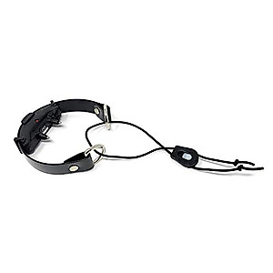 Sparky Pet Co - ECollar Replacement Strap - Bungee Dog Collar - Waterproof - Adjustable - Secure Nexus Wheel Lock - for Electronic Training & Invisible Fence Systems - 3/4" (Black)