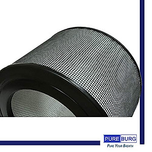 PUREBURG Replacement True HEPA Filter Kit Compatible with Honeywell 24000 50250-S, H13 Activated carbon Pre-Filter Air Clean Dust VOCs