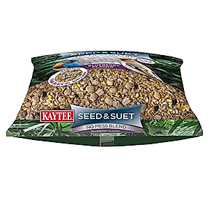 Kaytee Seed & Suet No Mess Blend Blueberry Flavor 10 Pounds