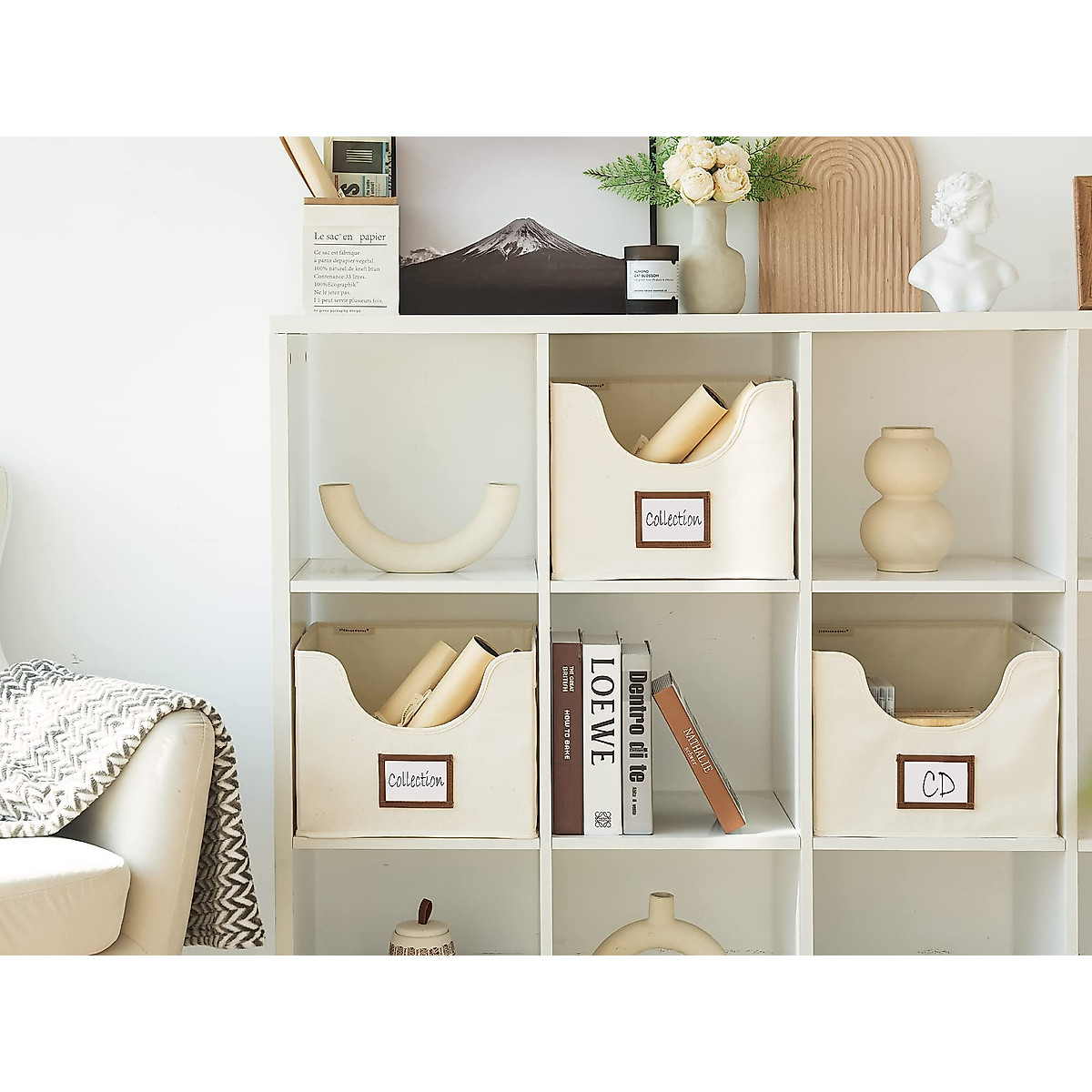 StorageWorks Closet Storage Bins and