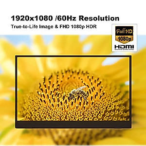 WWJ 15.6 Inch 1080P USB-C Mini HDMI Computer Monitor, Smart Case, Speaker, IPS Computer Monitor