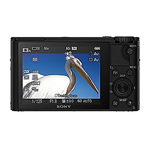 Sony Cyber-shot Rx100 with 3.6x Zoom - International Version (No Warranty)