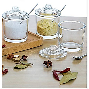 123Arts Glass Sugar Bowl Spice Jar with Lid and Stainless Steel Spoon Spoon