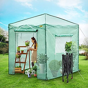 VEVOR 8'x 6'x 8' Pop-Up Greenhouse, Set Up in Minutes, Portable Greenhouse with Doors & Windows. High Strength PE Cover & Powder-Coated Steel Construction