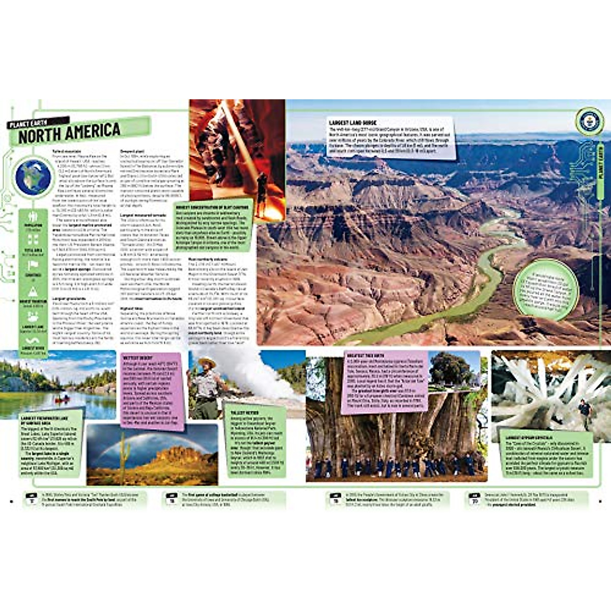 Guinness World Records 2020