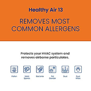 Aprilaire 313 Replacement Furnace Air Filter for Aprilaire Whole Home Air Purifiers, MERV 13, Healthy Home Allergy Furnace Filter (Pack of 1)