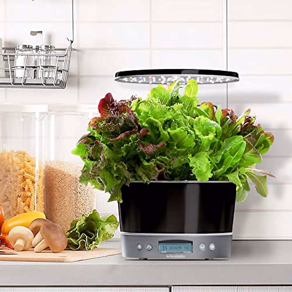 AeroGarden Harvest Elite 360 with Gourmet Herb Seed Pod Kit - Hydroponic Indoor Garden, Platinum Stainless