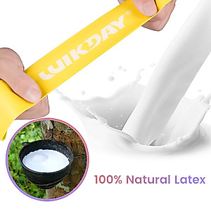 WIKDAY Resistance Bands for Working Out Exercise Loop Bands Workout Bands Set for Men Women Body Stretching, Training, Home Workout, Physical Therapy, Booty Legs, Set of 5 (Pastel)