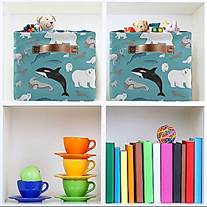 xigua Arctic Animals Square Storage Basket,Collapsible Sturdy Fabric Storage Basket Cube W/Handles for Clothes Toy Closet(1 pcs)
