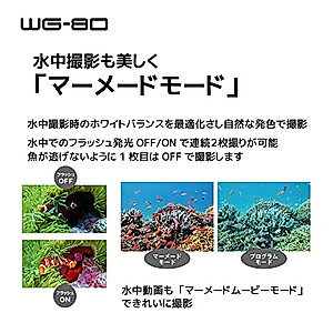 Ricoh WG-80 Black Waterproof Digital Camera Shockproof Freezeproof Crushproof (International Version)