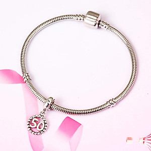 50 Anniversary Birthday Number Charms for Pandora Charm Bracelet, 925 Sterling Silver 50th Milestone Beads Inlay CZ Birthstone Dangle Pendant, Gifts for Mother/Wife/Family