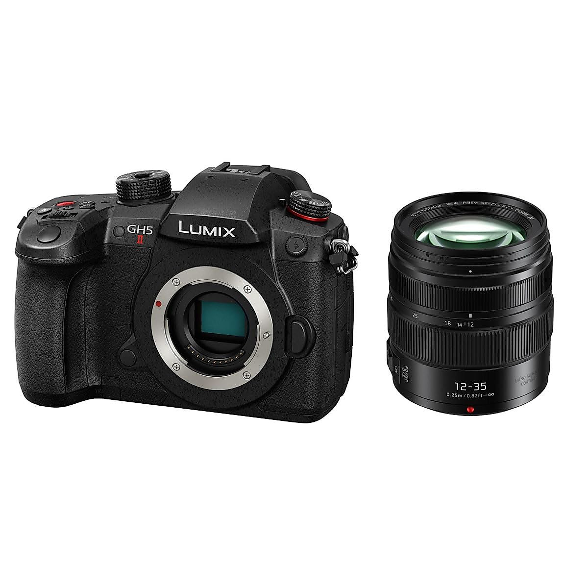 Panasonic LUMIX GH5II Mirrorless Camera Bundle with Panasonic LUMIX G X Leica DG Vario-Elmarit 12-35mm f/2.8 Aspherical Lens for MFT, ProOPTIC Lens Wrap