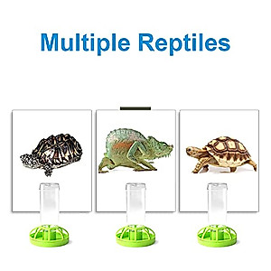Bilindasly 1PCS Reptile Food Dish Automatic Water Drinker Dispenser Feeding Bowl Lizard Tortoise Feeder Round Dish Terrarium Dish Drink Bottle for Turtle Tortoise Lizard