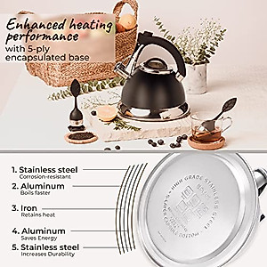 Whistling Tea Kettle with iCool - Handle, Surgical Stainless Steel Teapot for Stovetop, 2 FREE Infusers Included, 3 Quart by Pykal