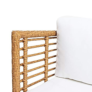 Christopher Knight Home 315002 Nic Outdoor Club Chair, White + Light Brown + Black