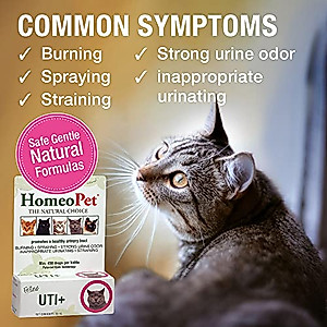 HomeoPet UTI Plus Urinary Tract Infection, Urinary Tract Support for Cats, 15 Milliliters