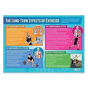 The Long-Term Effects of Exercise Classroom Poster - EXTRA LARGE 33” x 23.5” - Laminated - Physical Education Middle & High School Class Decor - Wall Charts by Daydream Education.