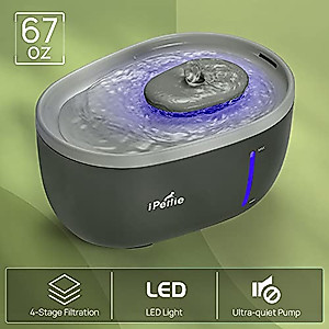 iPettie Avocado Pet Water Fountain with LED Light, 67oz/2.0L, Ultra Quiet Cat Water Fountain with Filter, Automatic Pet Water Fountain for Cats and Small Dogs, Grey
