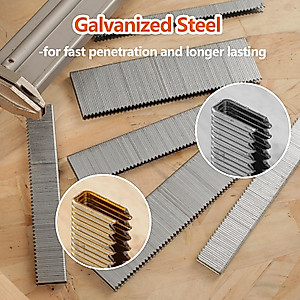 SITLDY 2000-Count 18 Gauge 1/4 Inch Narrow Crown Staples (1/2"+3/4"+1"+1-1/4"+1-1/2"), 400 per size, Heavy Duty Beveled Chiseled Pointed Galvanized, Assorted Size Project Pack
